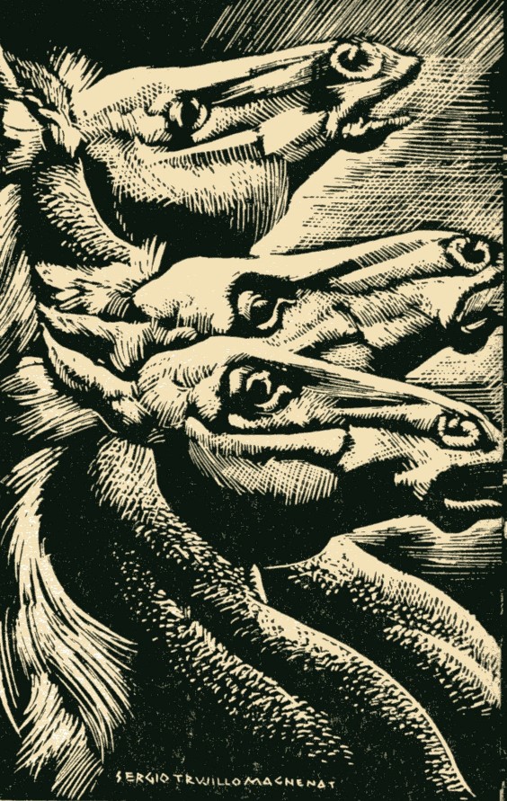 Los sonetos de Tierra de promisión de José Eustasio Rivera | Fernando ...